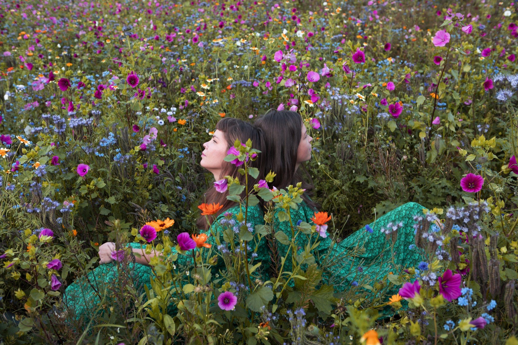 NOUKI SUMMER 2023 - Nouki